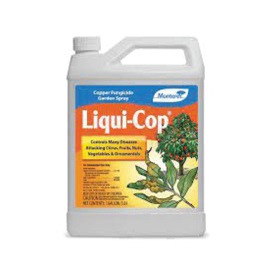 Plant Growth Regulators – Elite Agriculture Service