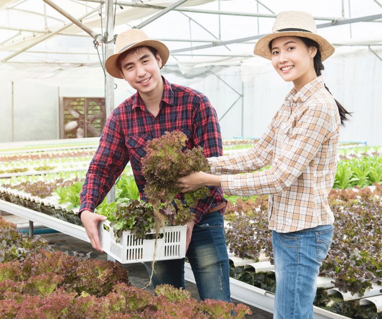 Elite Agricultural Services – Your One Stop Centre